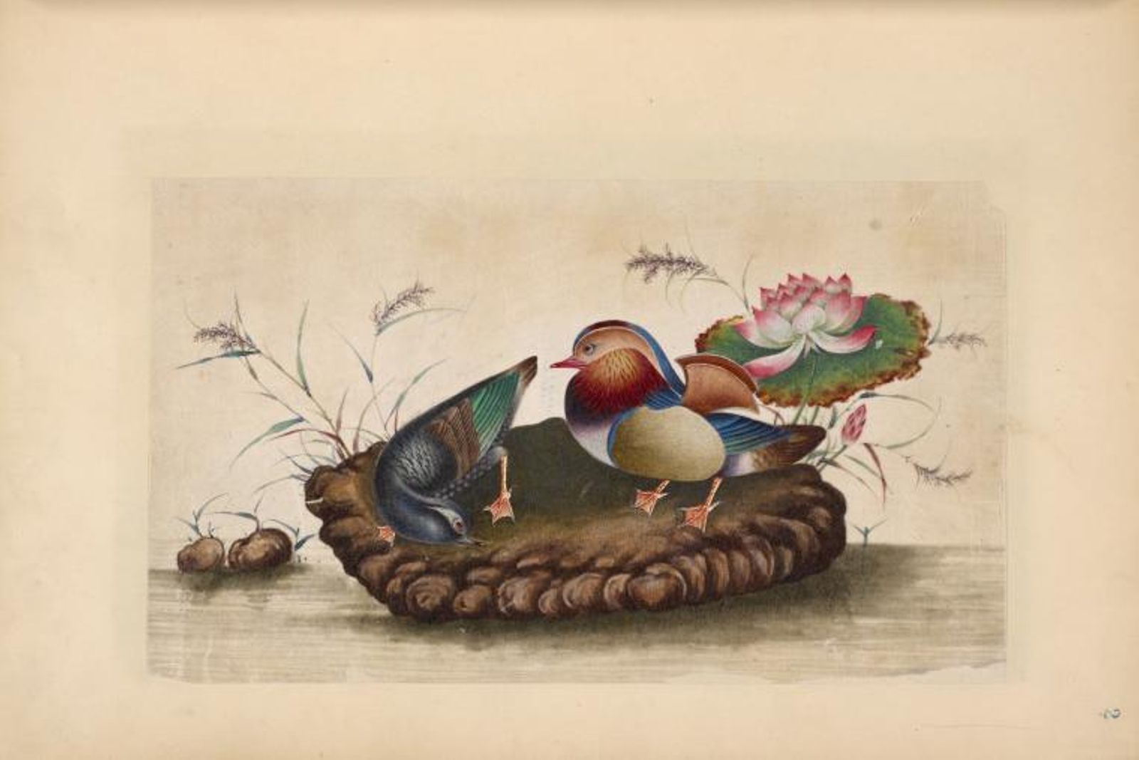 Nesting Artist Opportunities - Massachusetts Cultural Council