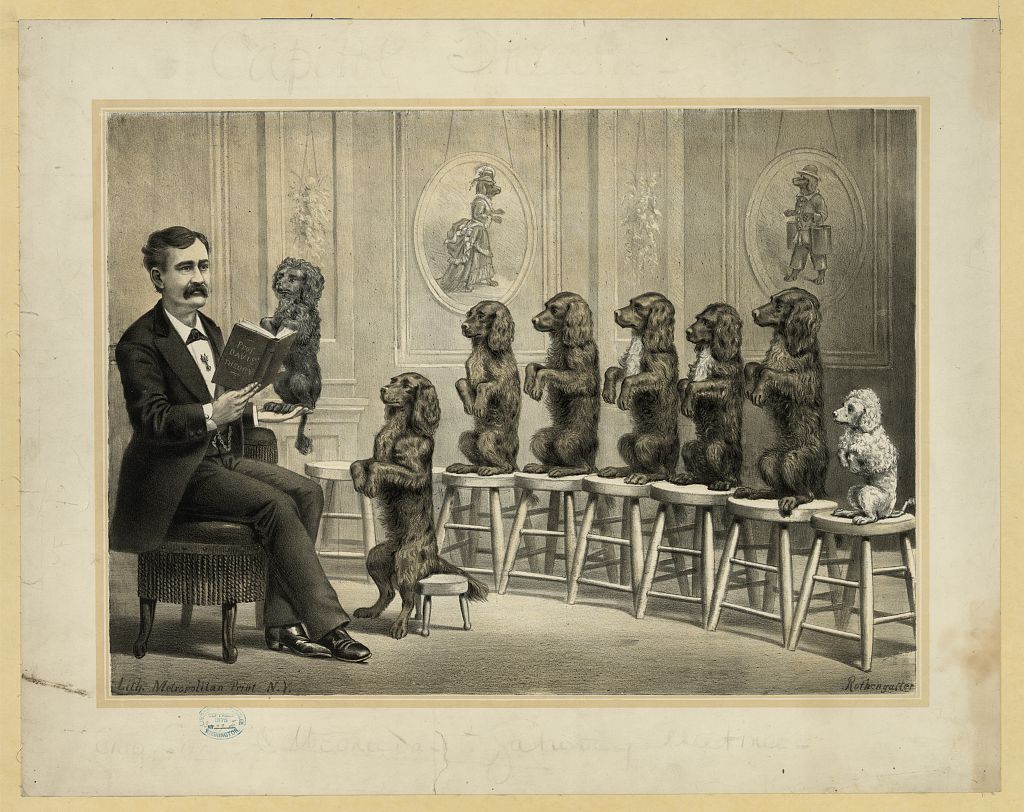 Artist Opportunities Sit and Stay - Massachusetts Cultural Council